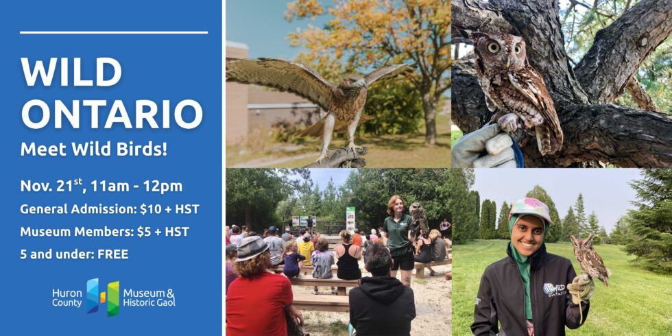 SOLD OUT - Wild Ontario: Meet Wild Birds! - Huron County Museum